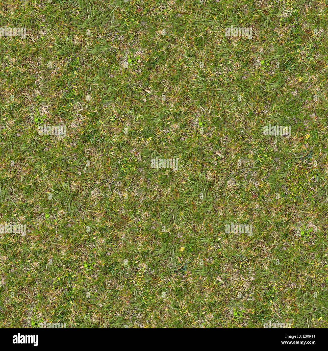 Clean seamless tileable grass texture -Fotos und -Bildmaterial in hoher ...