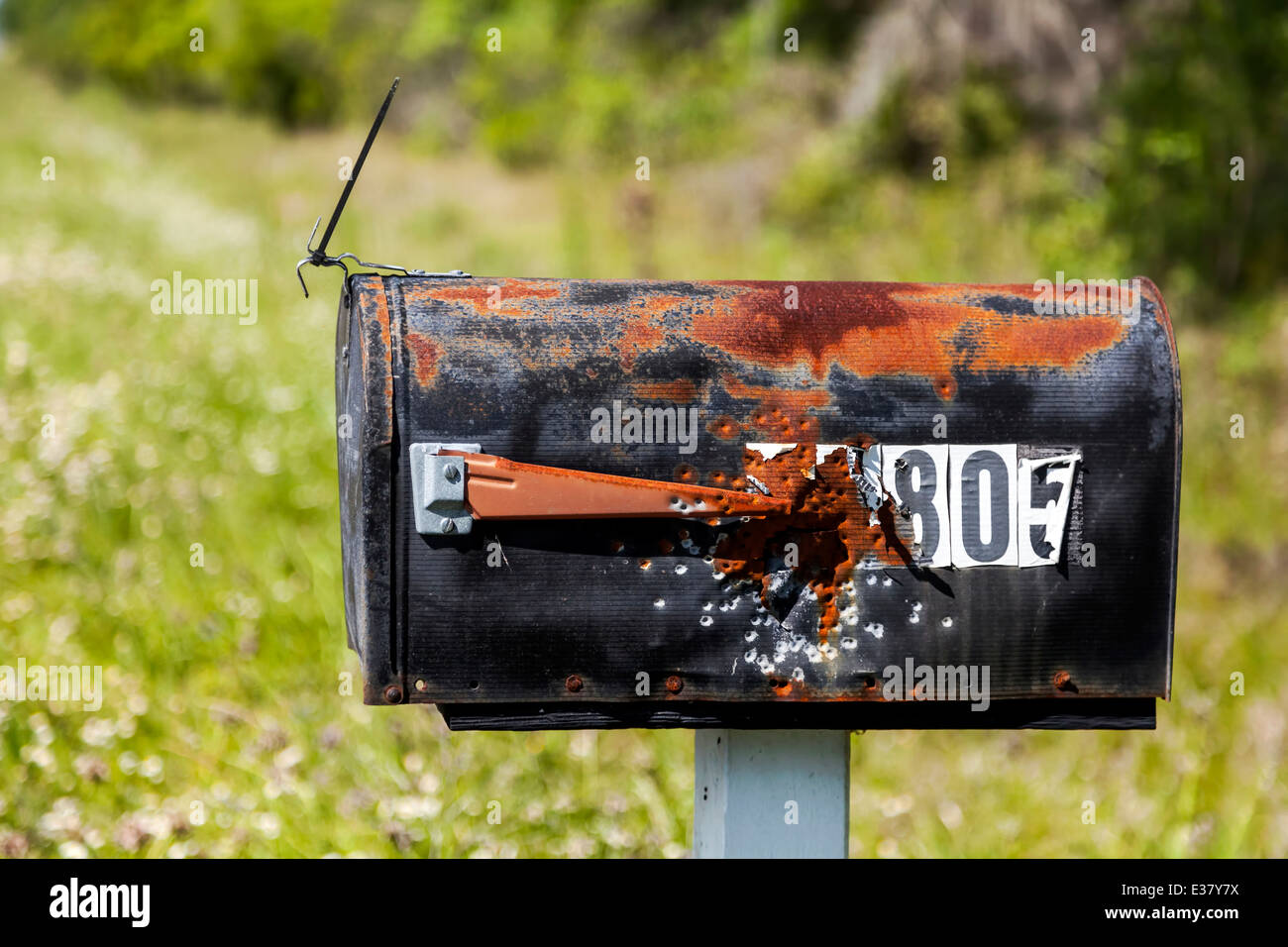 Alachua grafschaft florida -Fotos und -Bildmaterial in hoher Auflösung ...
