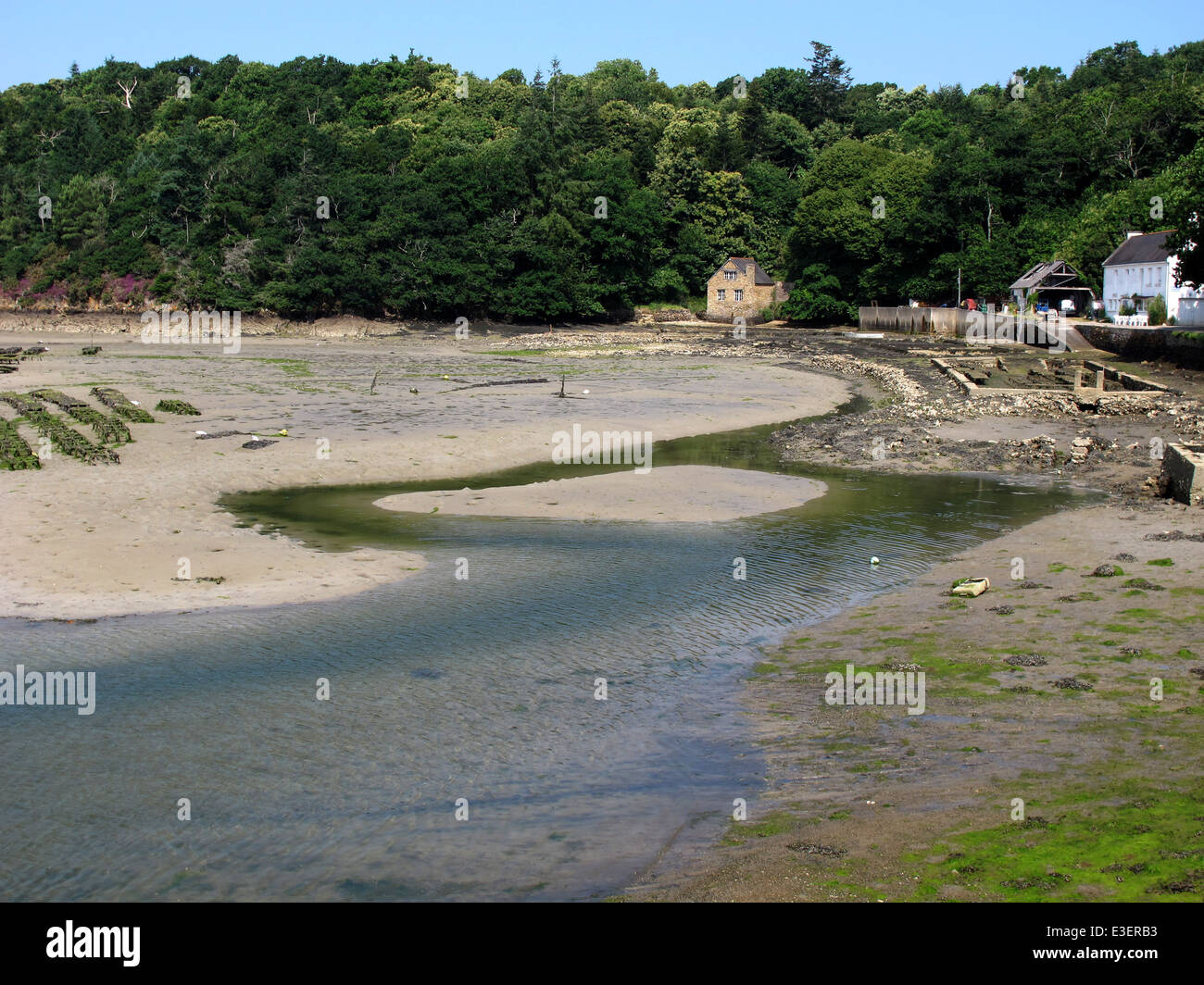Riec Hafen, Oyster Park, Belon River, Finistere, Bretagne, Bretagne ...
