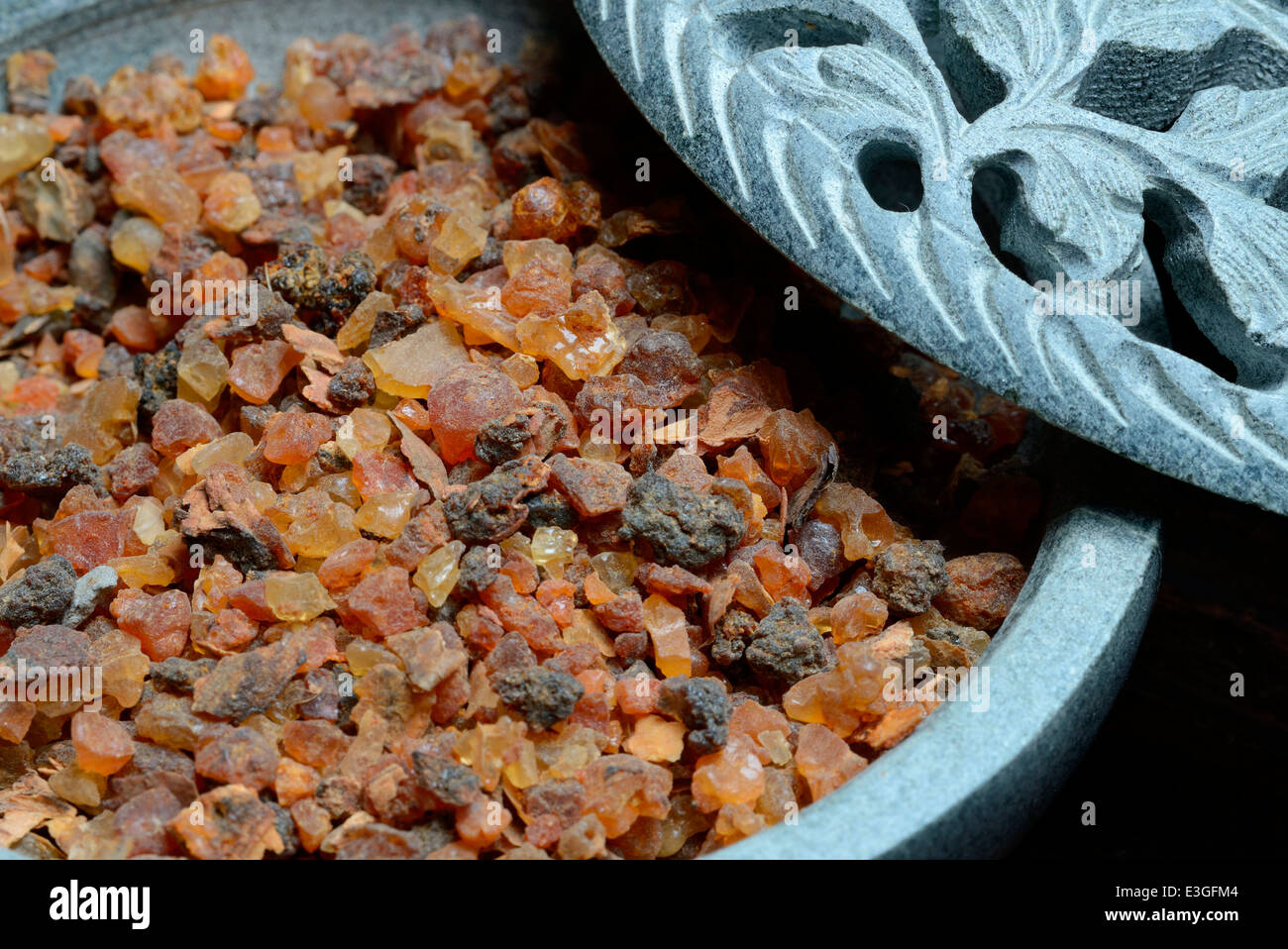 Commiphora myrrha -Fotos und -Bildmaterial in hoher Auflösung – Alamy