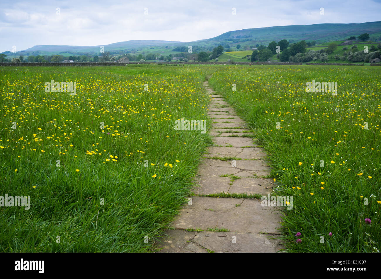 Durch die wiesen -Fotos und -Bildmaterial in hoher Auflösung – Alamy