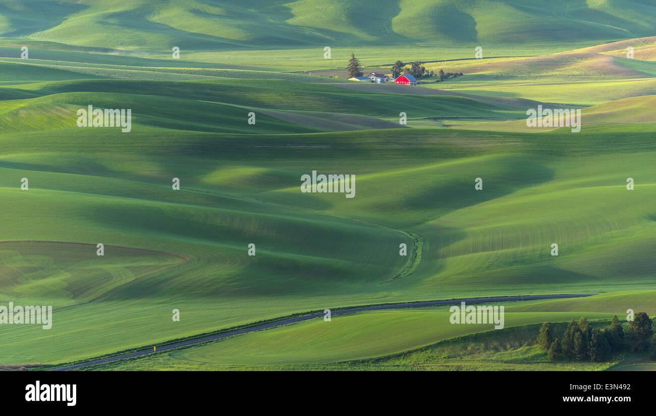 Palouse weizenfelder -Fotos und -Bildmaterial in hoher Auflösung – Alamy