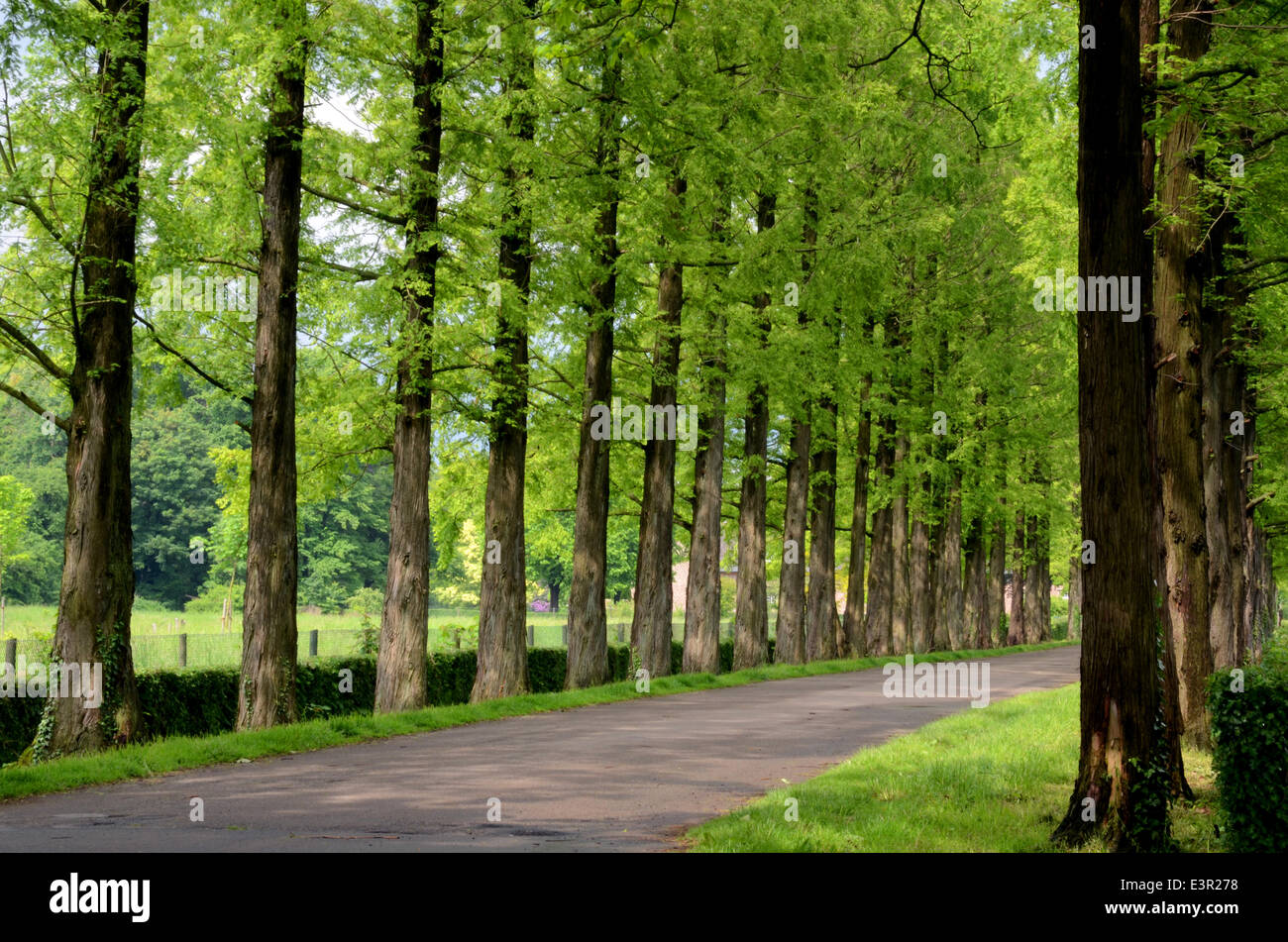 Schloss Heltorf Stockfotos und -bilder Kaufen - Alamy