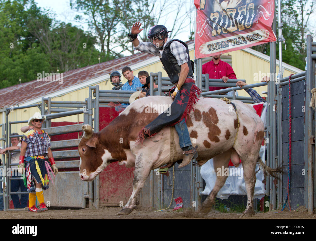 Bullenreiten cowboy beim rodeo -Fotos und -Bildmaterial in hoher ...