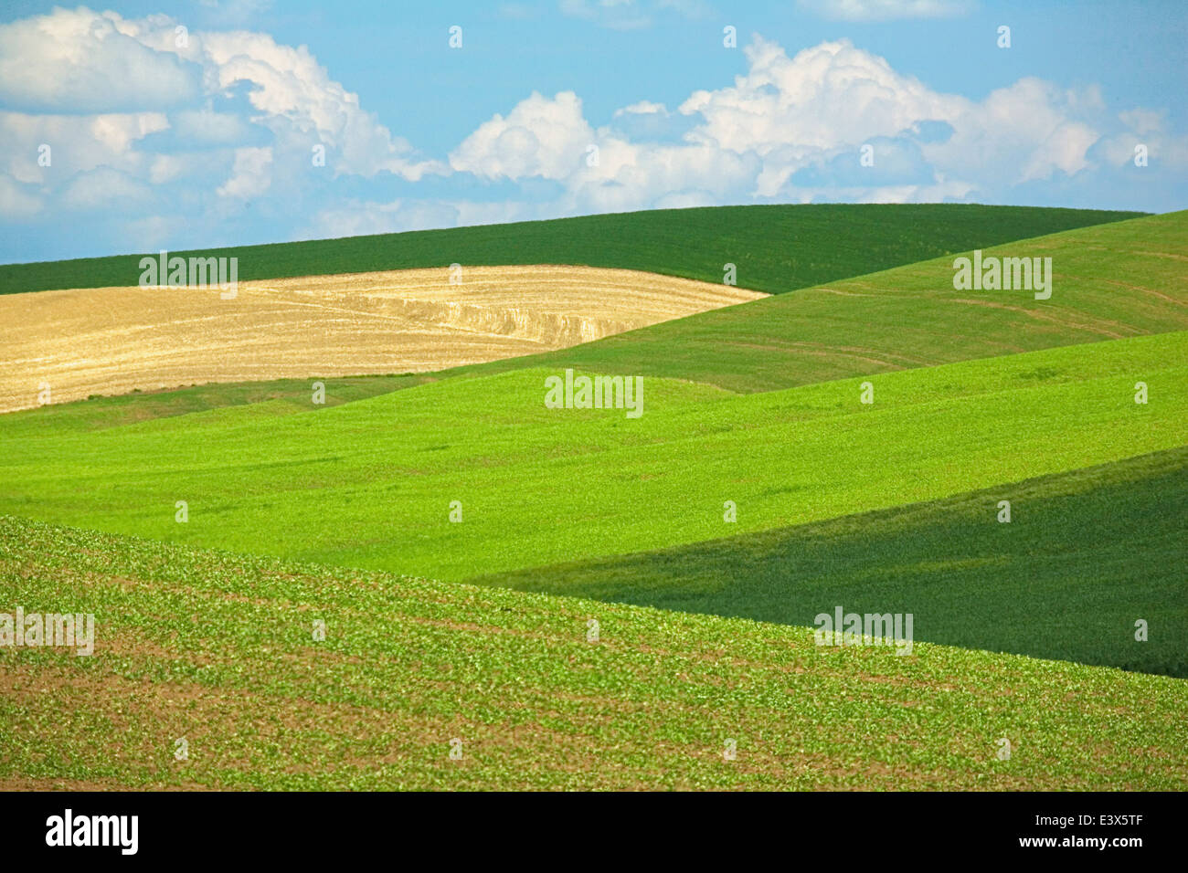 Palouse weizenfelder -Fotos und -Bildmaterial in hoher Auflösung – Alamy