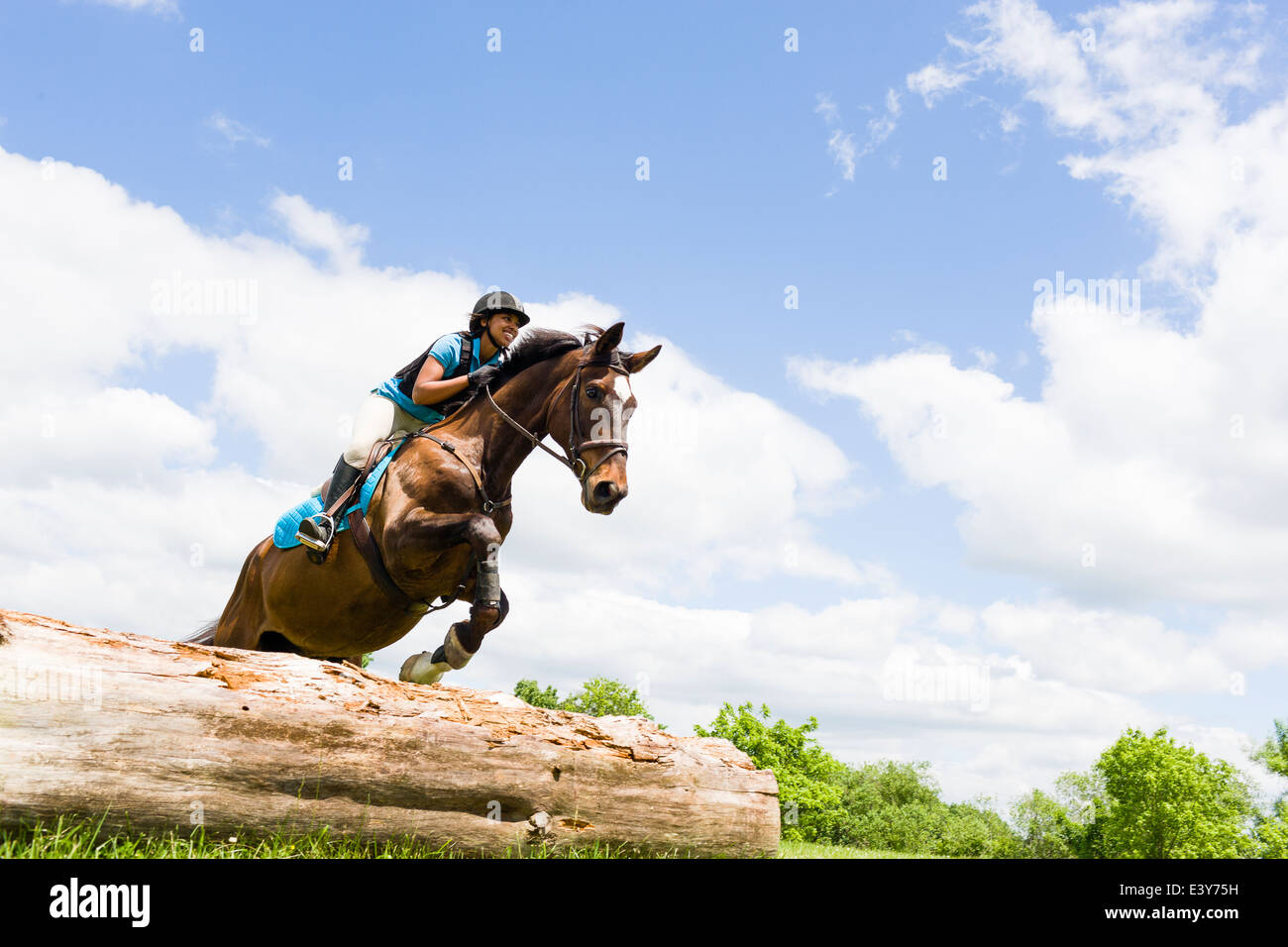 Reiterin und ausritt auf pferd -Fotos und -Bildmaterial in hoher ...