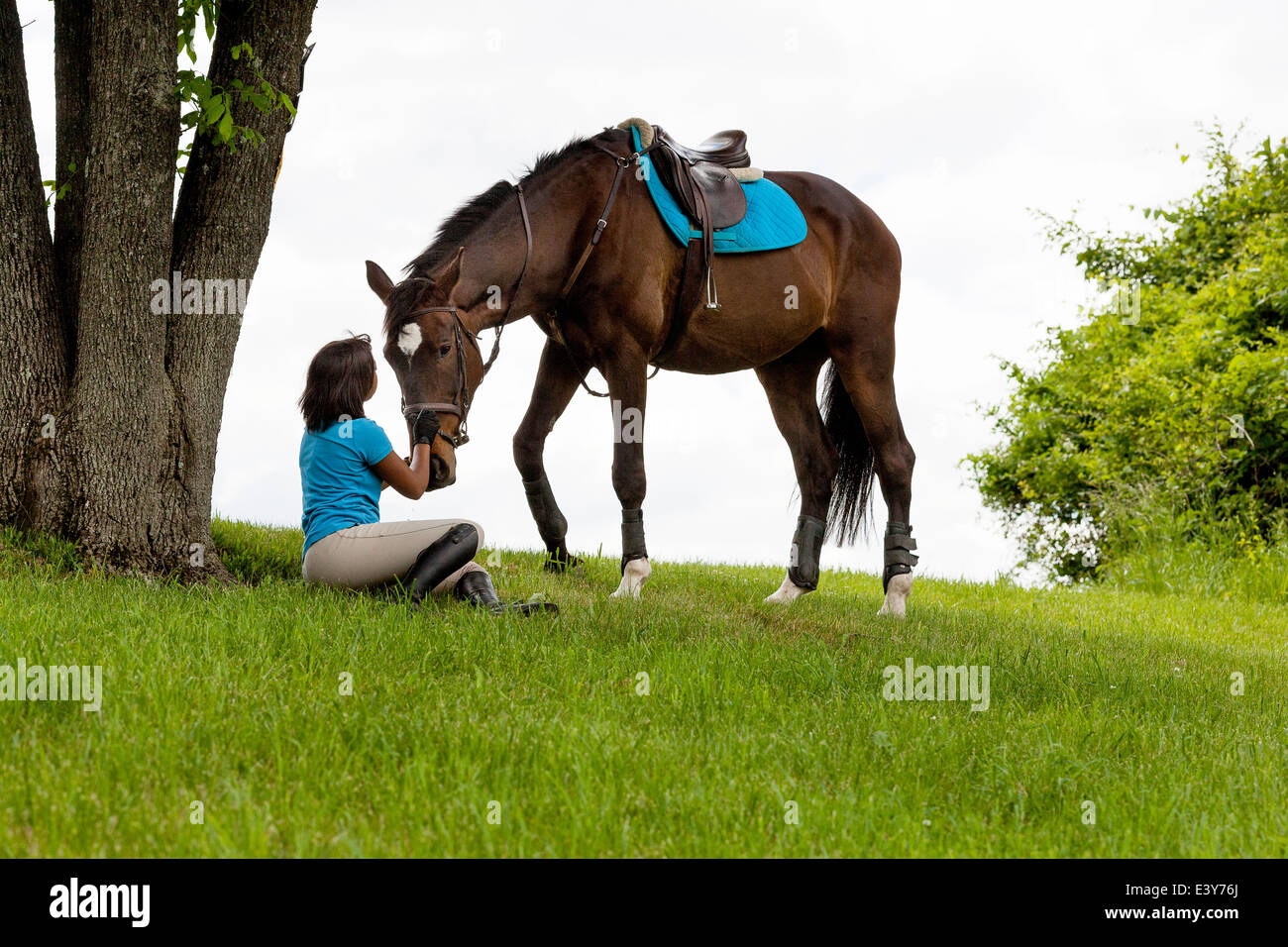 Reiter zu pferd -Fotos und -Bildmaterial in hoher Auflösung – Alamy