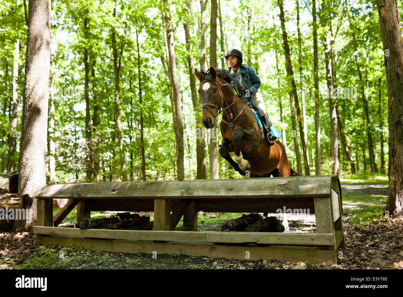 Pferd und reiter springen -Fotos und -Bildmaterial in hoher Auflösung ...