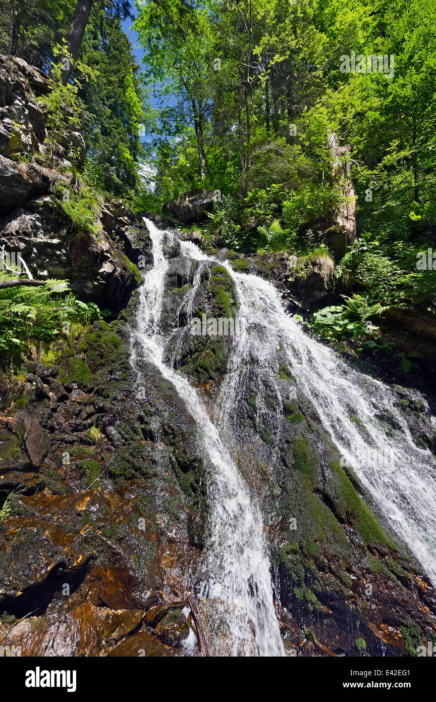 Wildbach im bayerischen wald -Fotos und -Bildmaterial in hoher ...