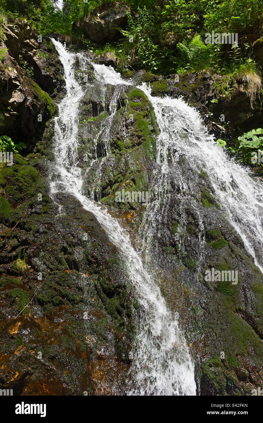 Wildbach im bayerischen wald -Fotos und -Bildmaterial in hoher ...
