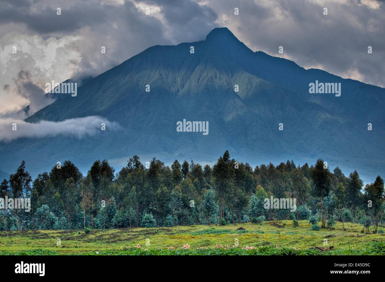 Virunga vulkane np -Fotos und -Bildmaterial in hoher Auflösung – Alamy