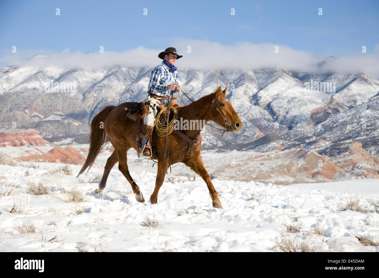 Cowboys und pferde im winter -Fotos und -Bildmaterial in hoher ...