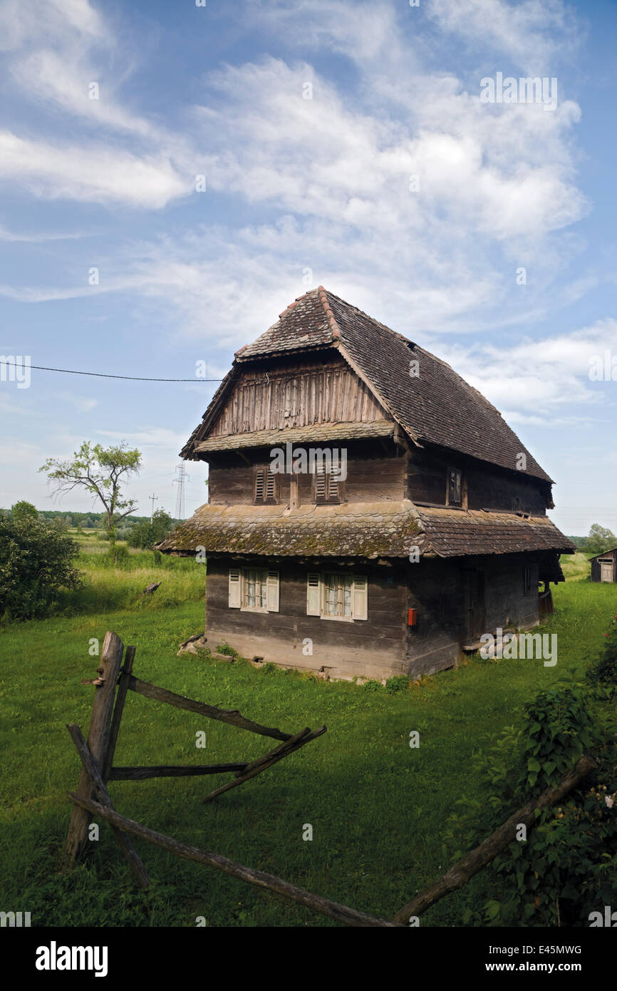 Slawonien eiche -Fotos und -Bildmaterial in hoher Auflösung – Alamy