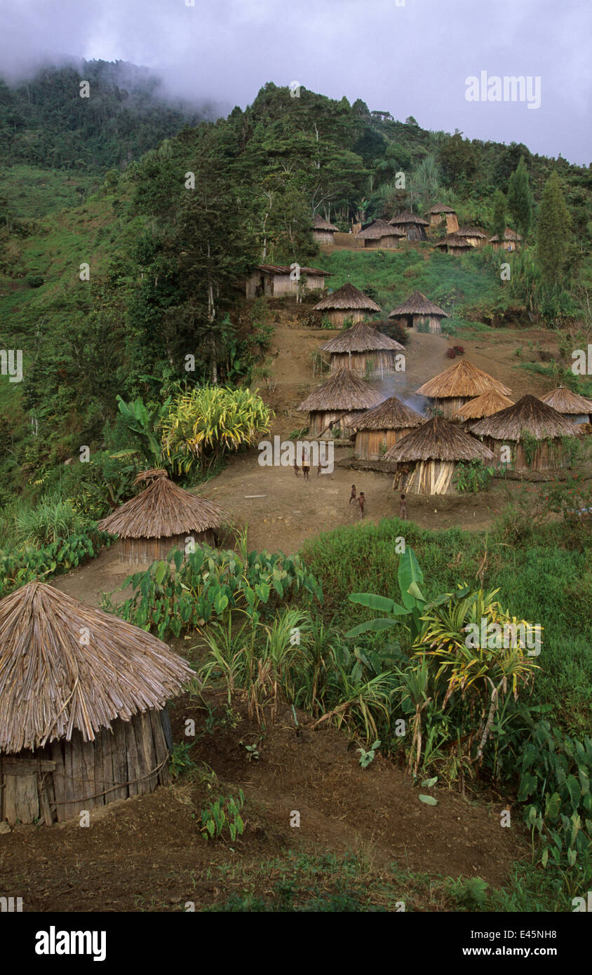 Indonesia irian jaya indigenous people -Fotos und -Bildmaterial in ...