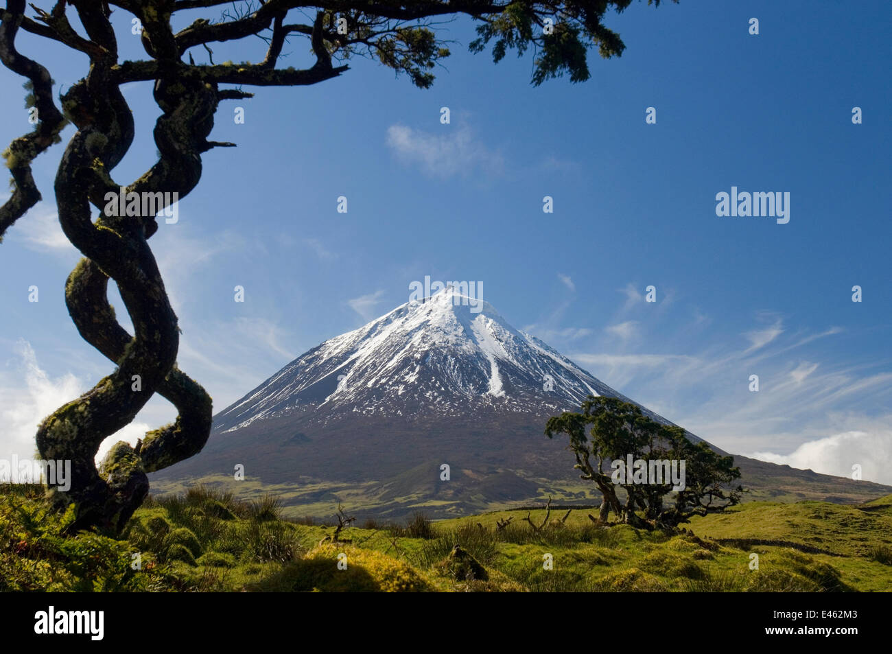 Berg Pico, Vulkanberge, Insel Pico, Azoren, März 2010 Stockfotografie ...