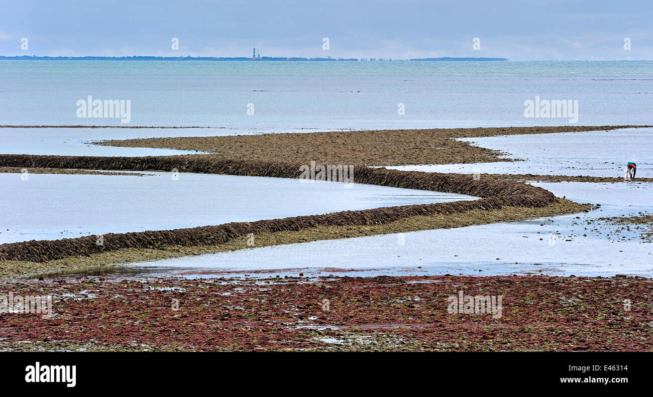 Fish lock -Fotos und -Bildmaterial in hoher Auflösung – Alamy