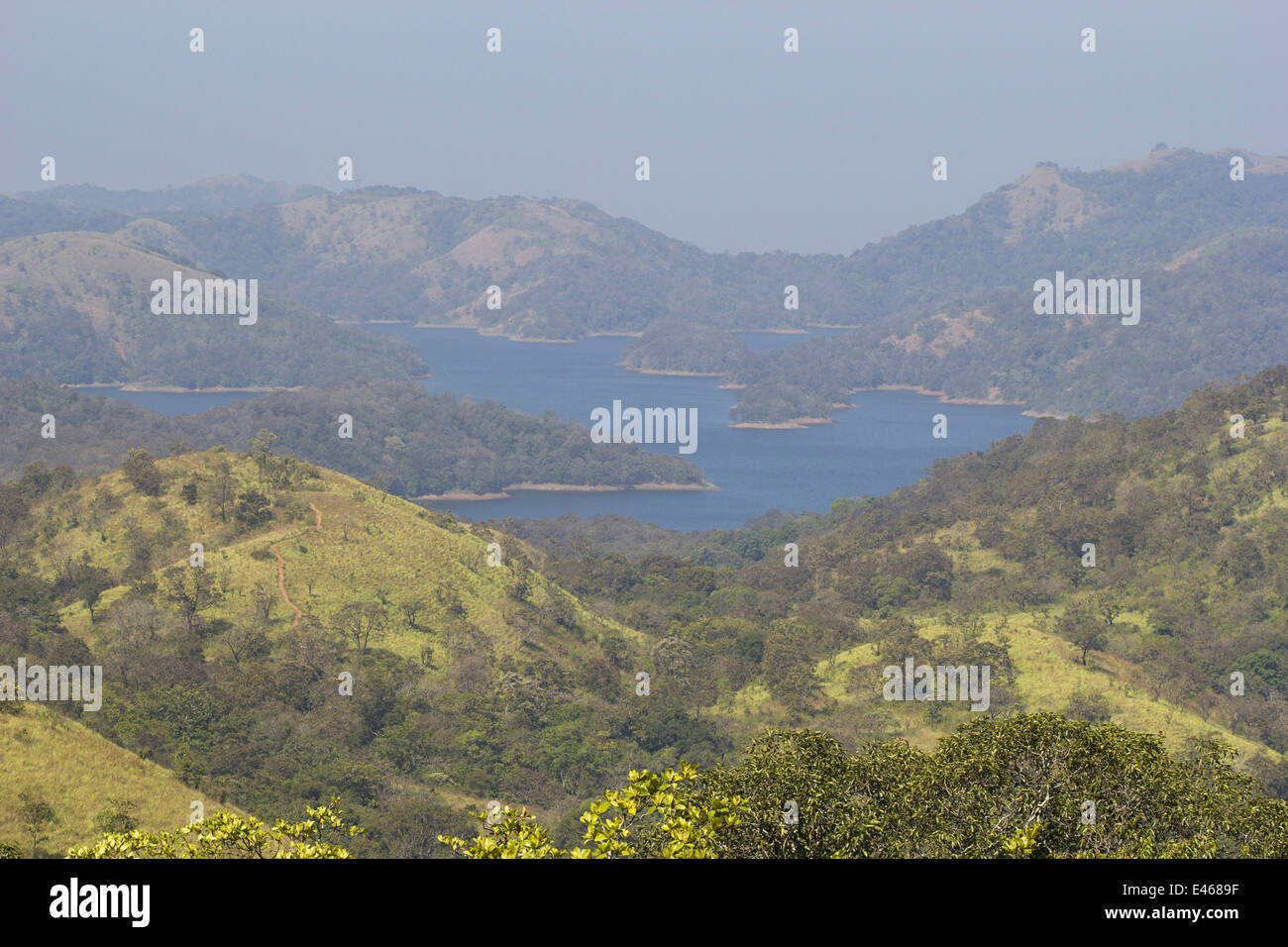 Idukki dam, Idukki Wildlife Sanctuary, Kerala Stockfotografie - Alamy