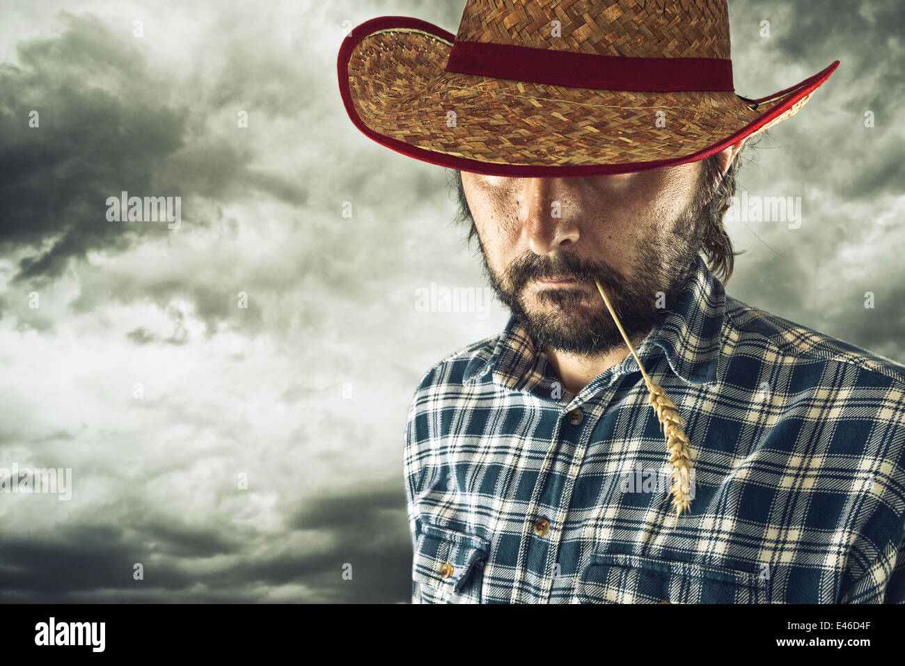 Bauer mit Cowboyhut und Weizenstroh in den Mund Stockfotografie - Alamy
