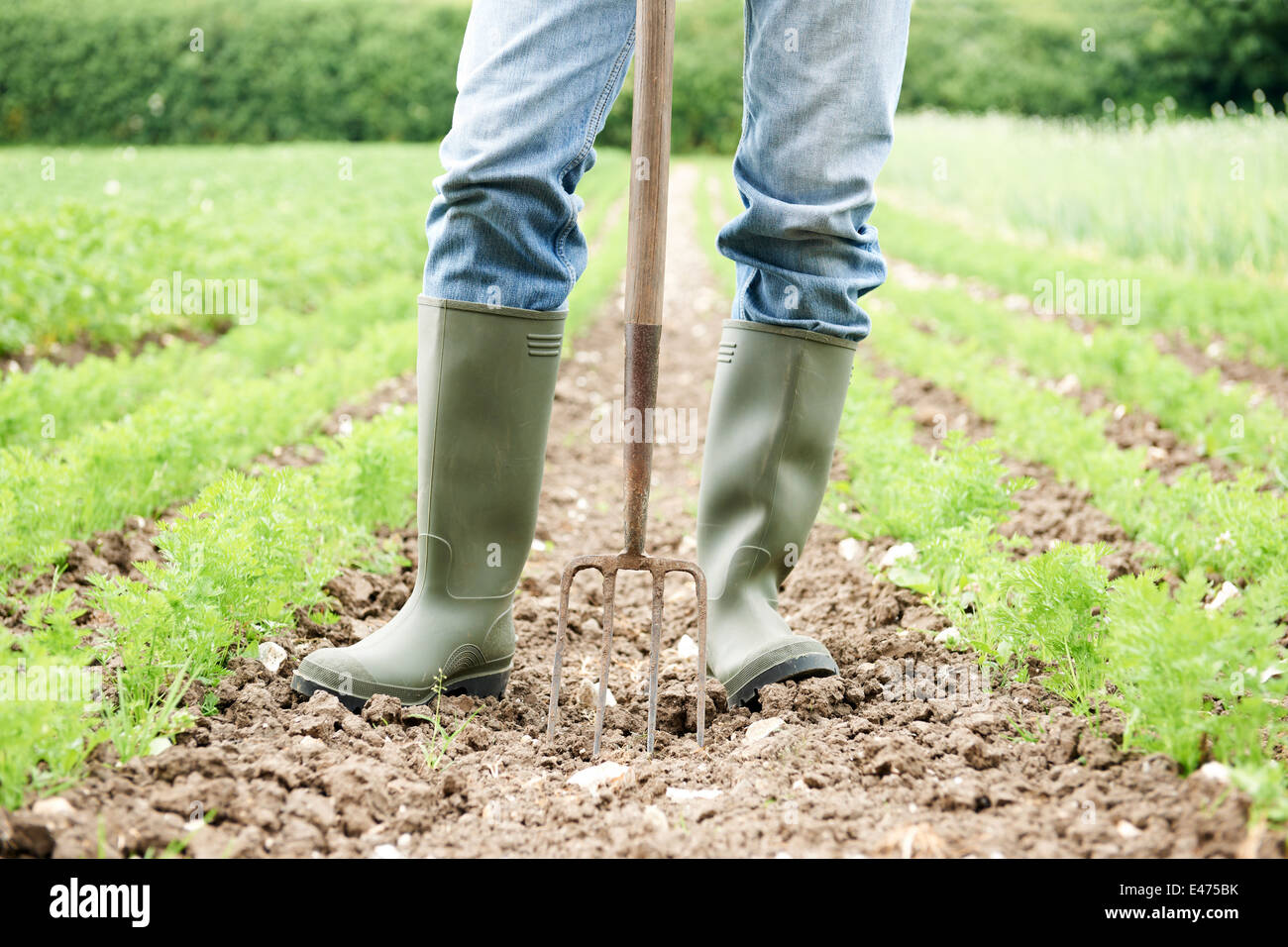 Organischer landwirt horizontal -Fotos und -Bildmaterial in hoher ...