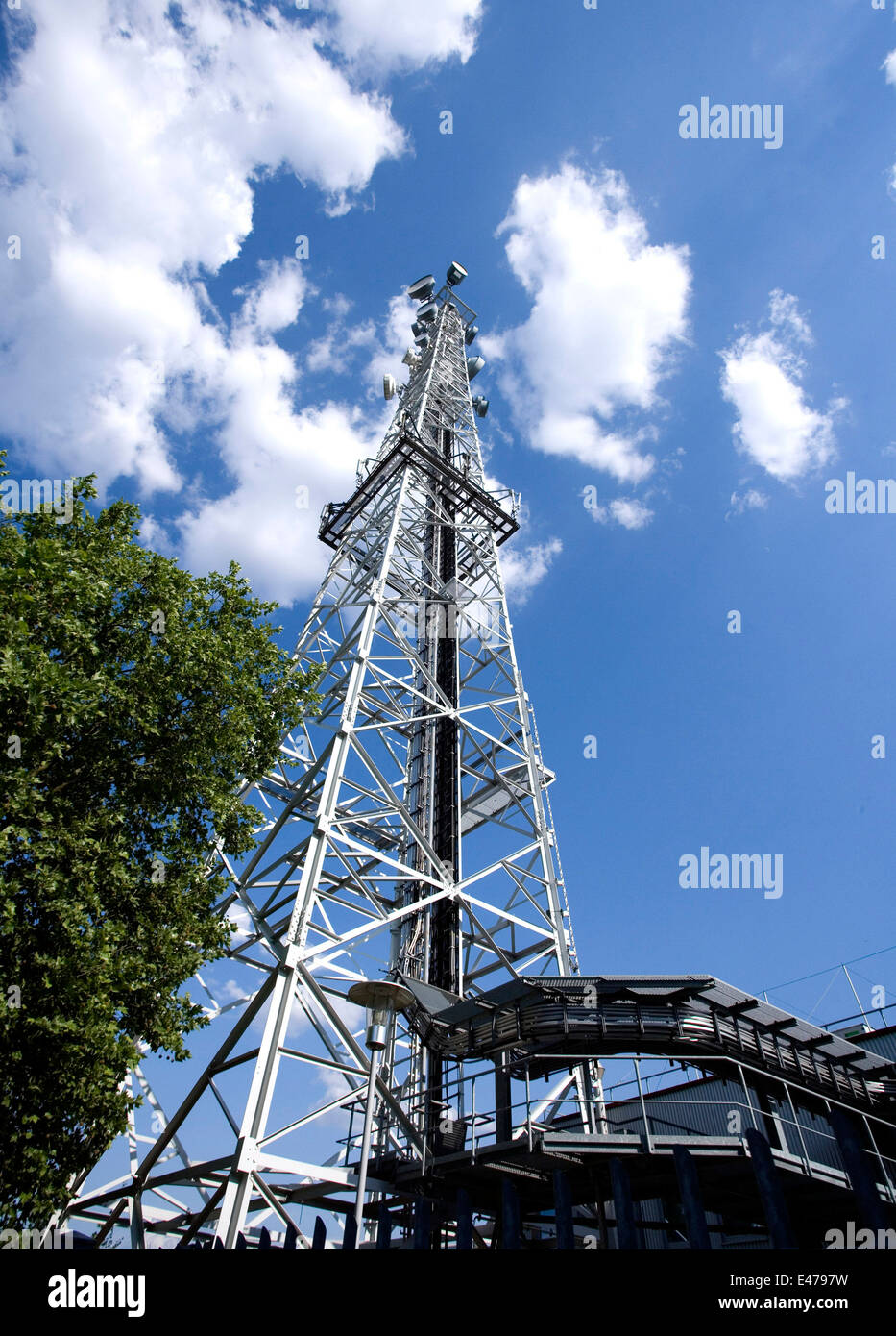 Ast base -Fotos und -Bildmaterial in hoher Auflösung – Alamy