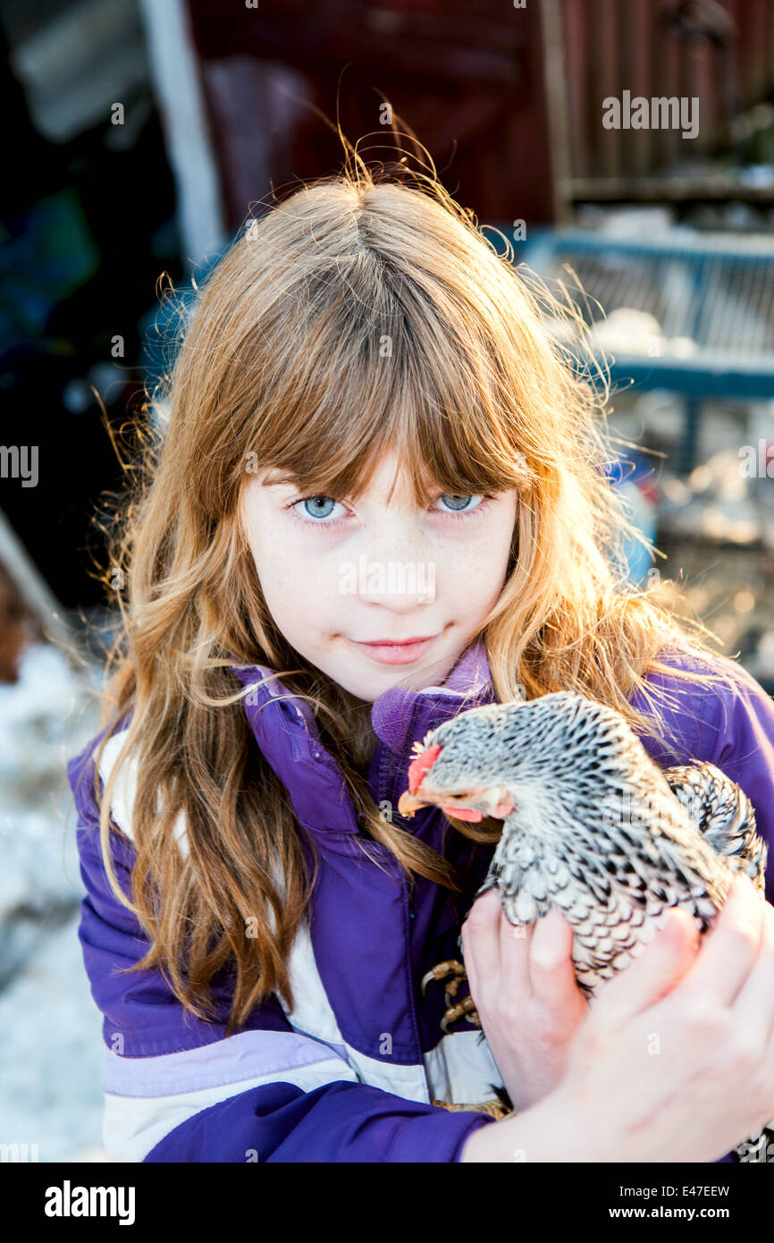 Henne jahr -Fotos und -Bildmaterial in hoher Auflösung – Alamy
