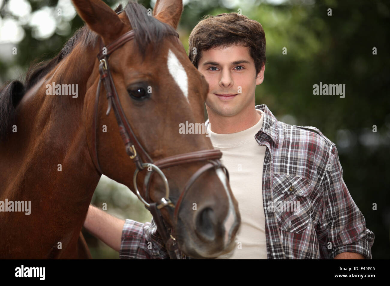Reitpferd im wald -Fotos und -Bildmaterial in hoher Auflösung – Alamy