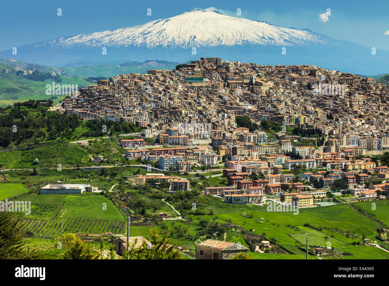 Gangi palermo -Fotos und -Bildmaterial in hoher Auflösung – Alamy
