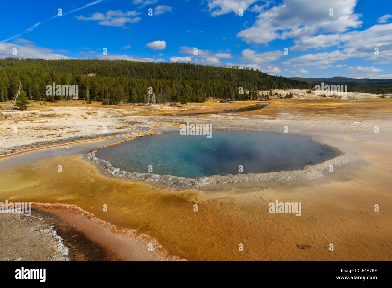 Crested Pool; heiße Quelle; Upper Geyser Basin, Yellowstone National ...