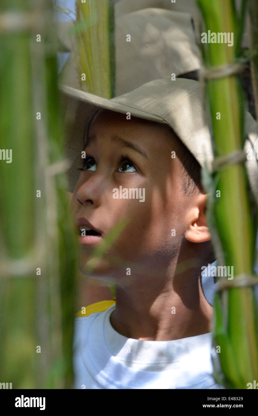 Die Palmeros de Chacao ist typische Veranstaltung der Karwoche Chacao ...