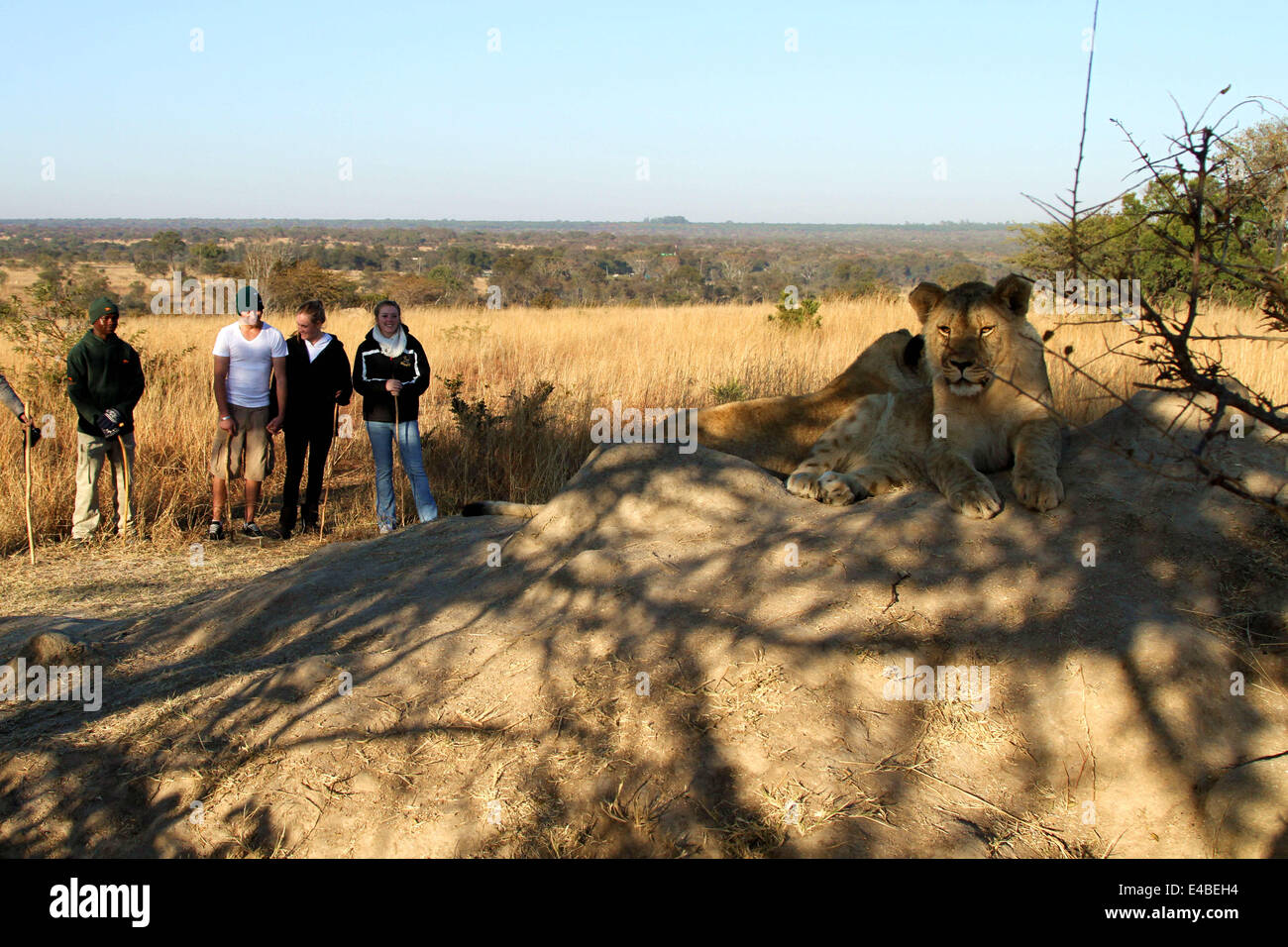 Gweru, Simbabwe. 6. Juli 2014. Ausländische Touristen und Mitarbeiter ...