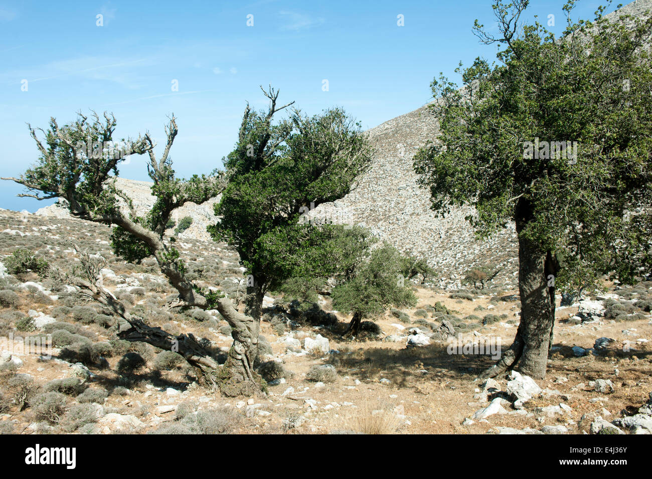 Griechenland, Rhodos, Embona, Fahrt Auf Den Berg Atavyros, Landschaft ...