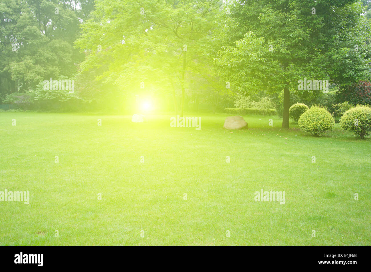 Park rasen -Fotos und -Bildmaterial in hoher Auflösung – Alamy