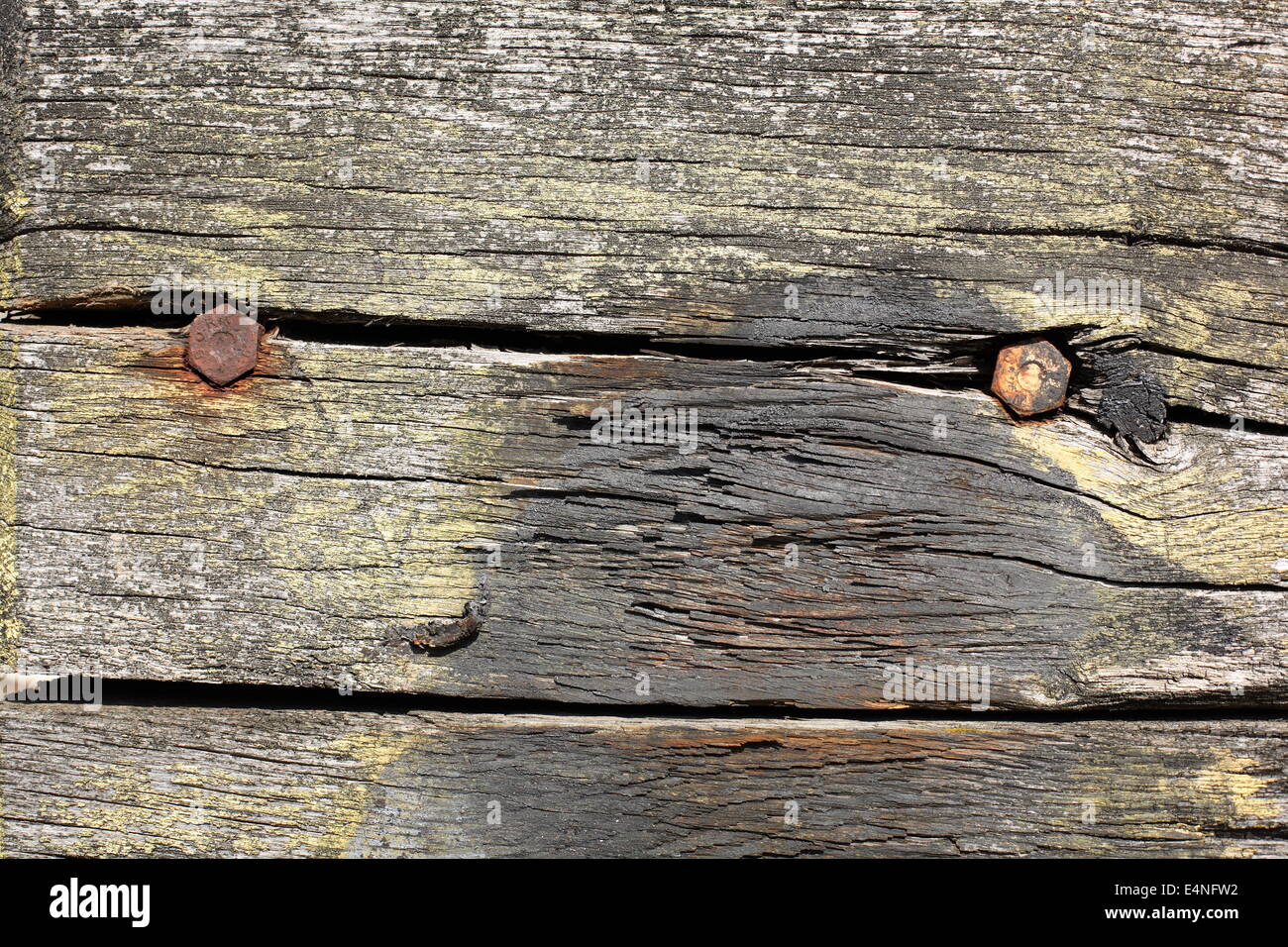 Tim holz -Fotos und -Bildmaterial in hoher Auflösung – Alamy