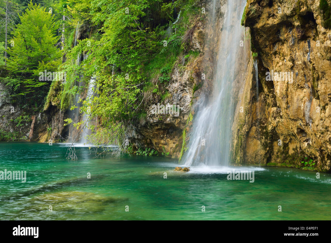 Wasserfall, Nationalpark Plitvicer Seen, Plitvice Jezera, Lika-Senj, Kroatien Stockfotografie ...