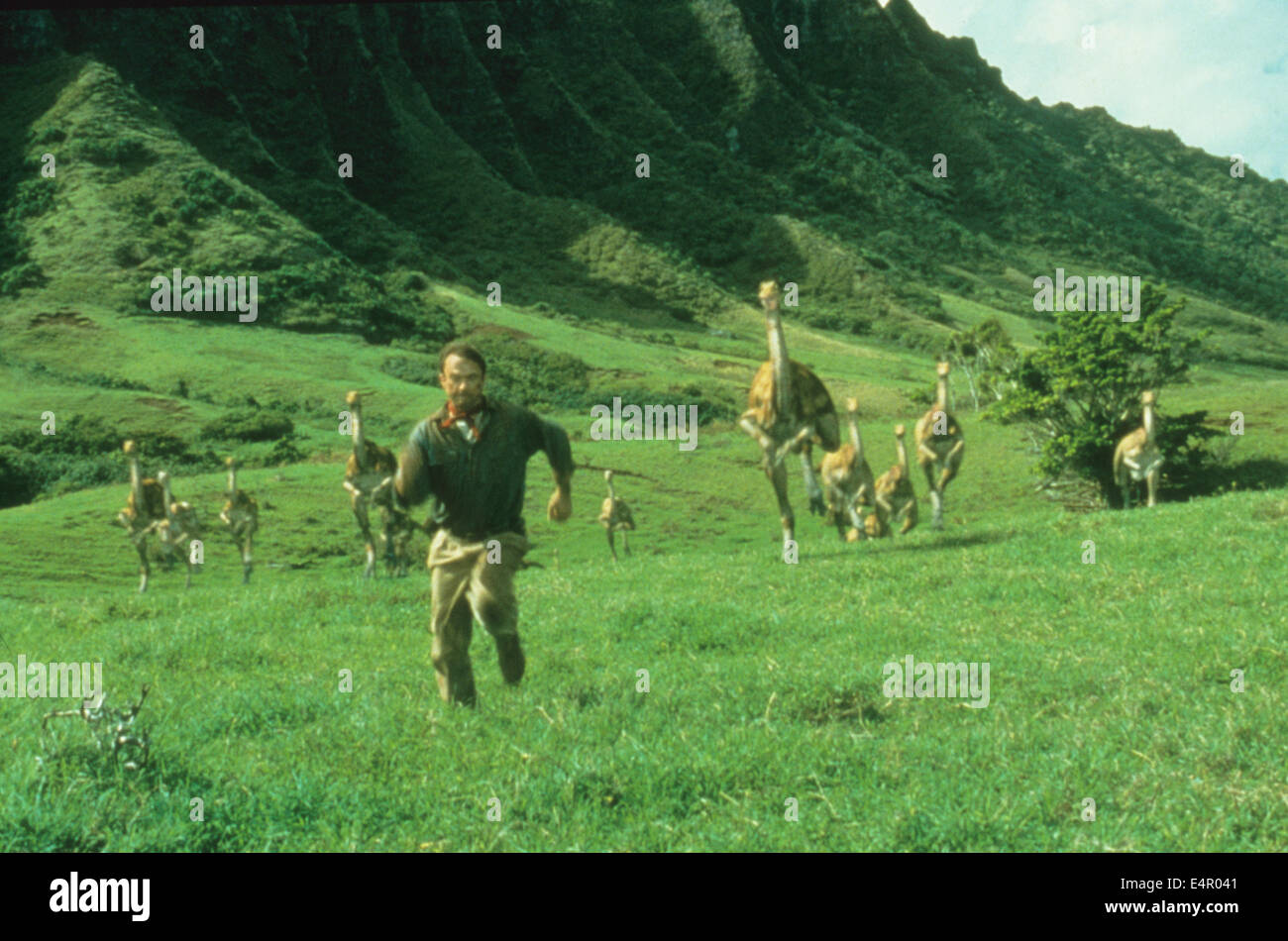 Jurassic Park -fotos Und -bildmaterial In Hoher Auflösung – Alamy