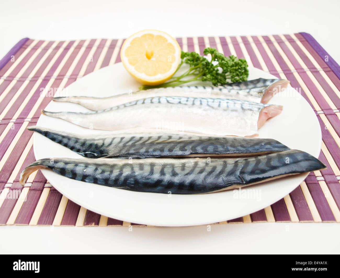 Wildtiere roher fisch -Fotos und -Bildmaterial in hoher Auflösung – Alamy