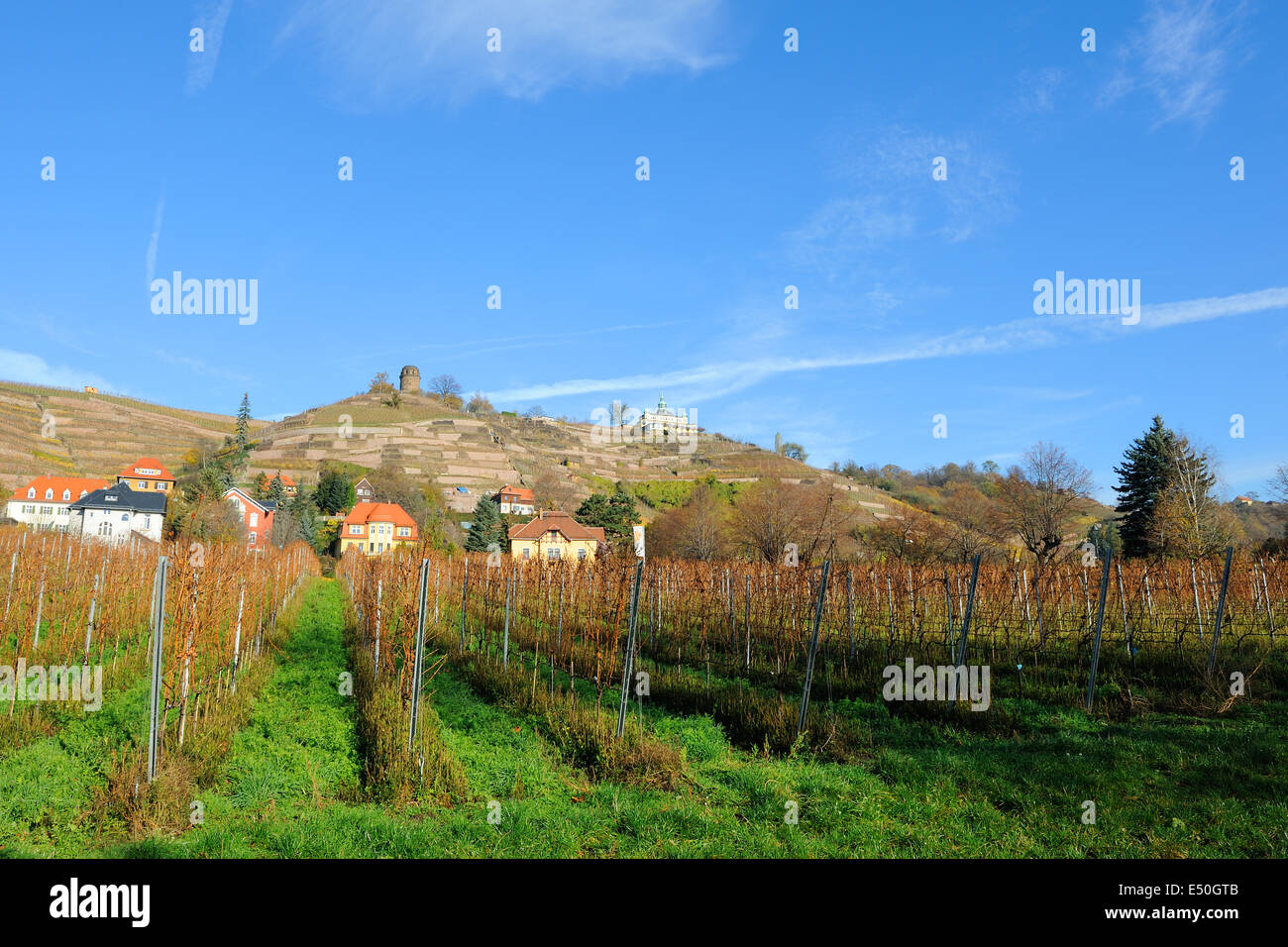 Weinberg spitzhaus -Fotos und -Bildmaterial in hoher Auflösung – Alamy