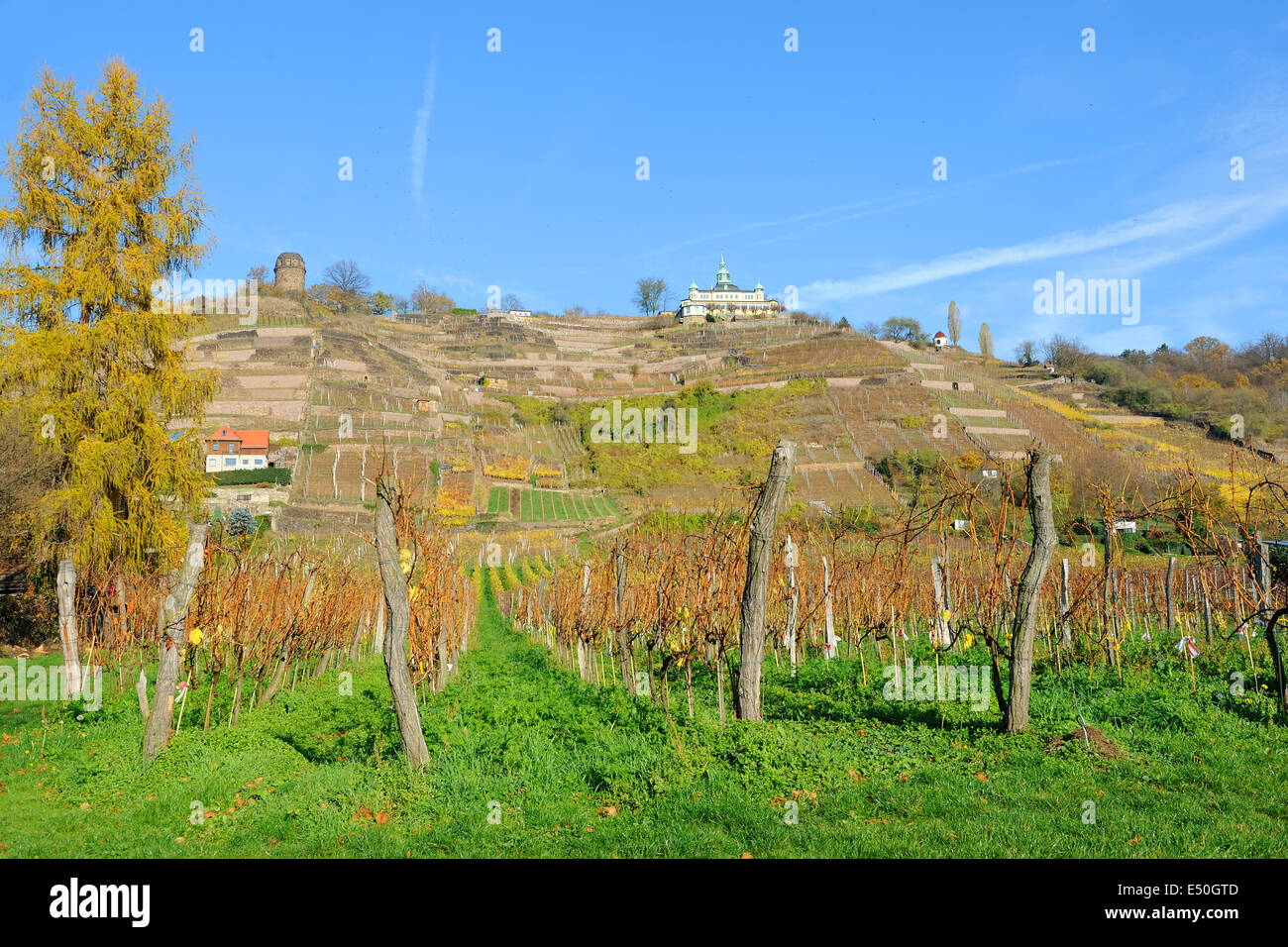 Weinberg spitzhaus -Fotos und -Bildmaterial in hoher Auflösung – Alamy