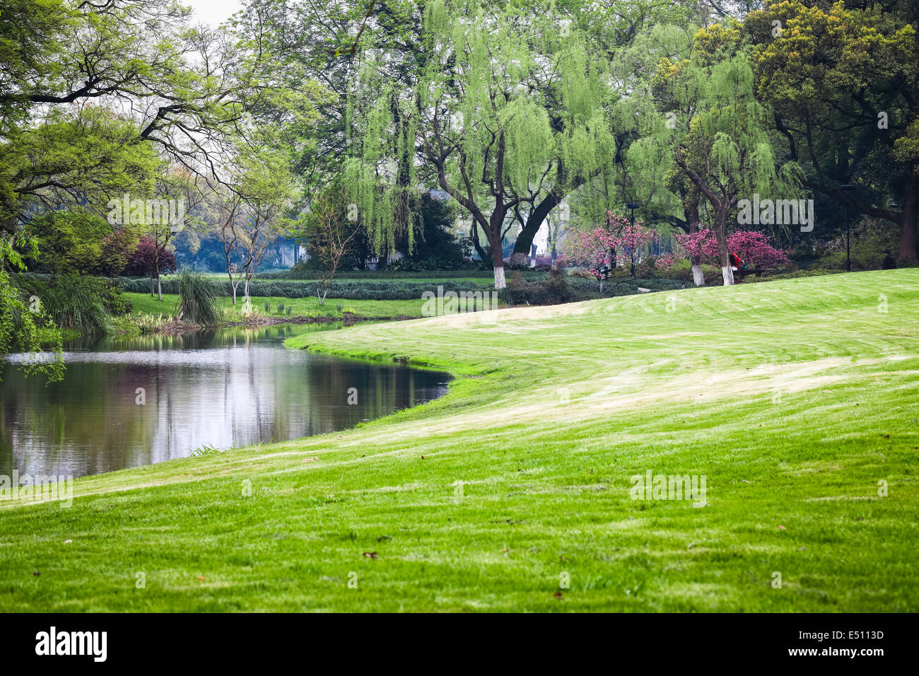 Gras park -Fotos und -Bildmaterial in hoher Auflösung – Alamy