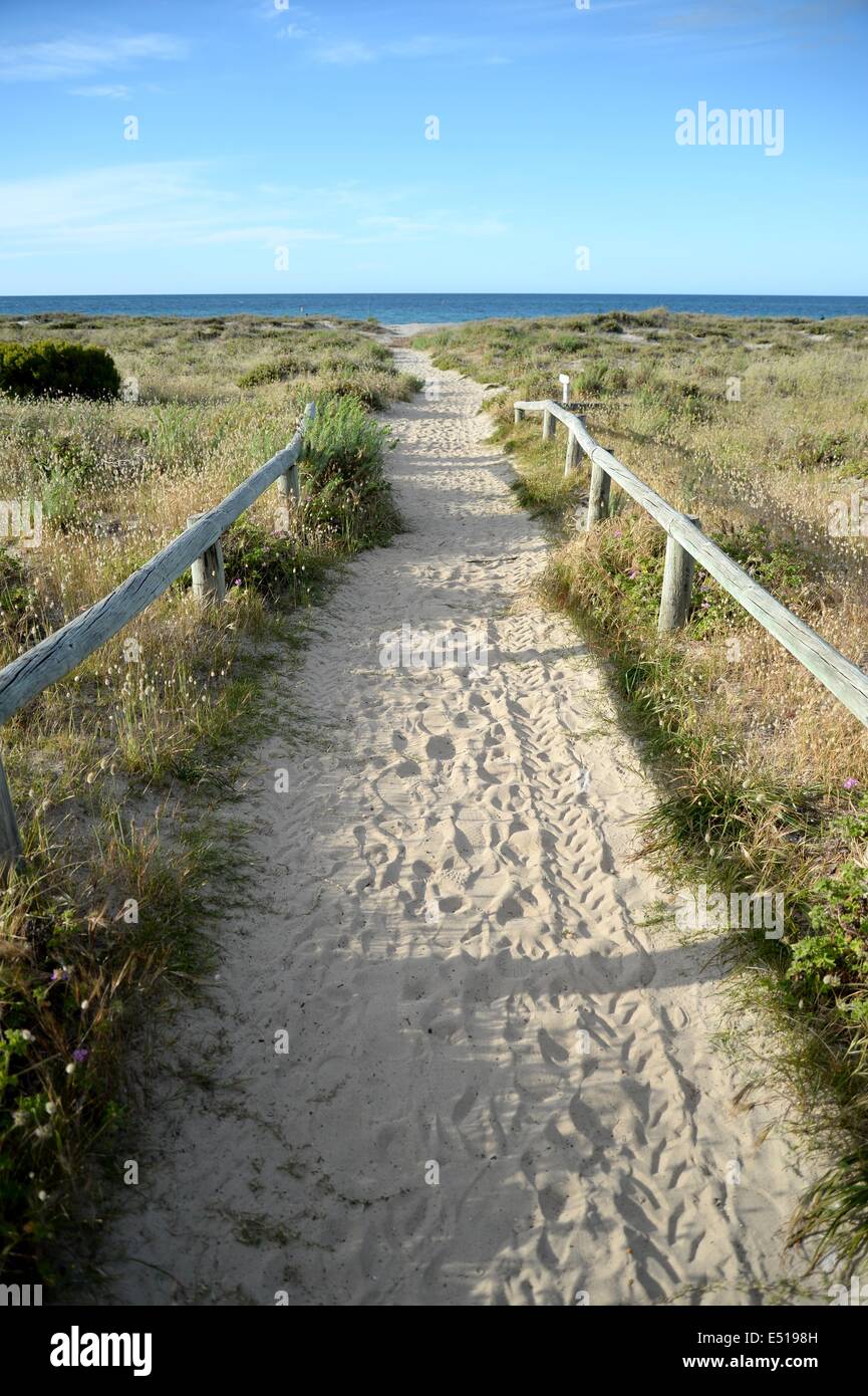 Beach track -Fotos und -Bildmaterial in hoher Auflösung – Alamy