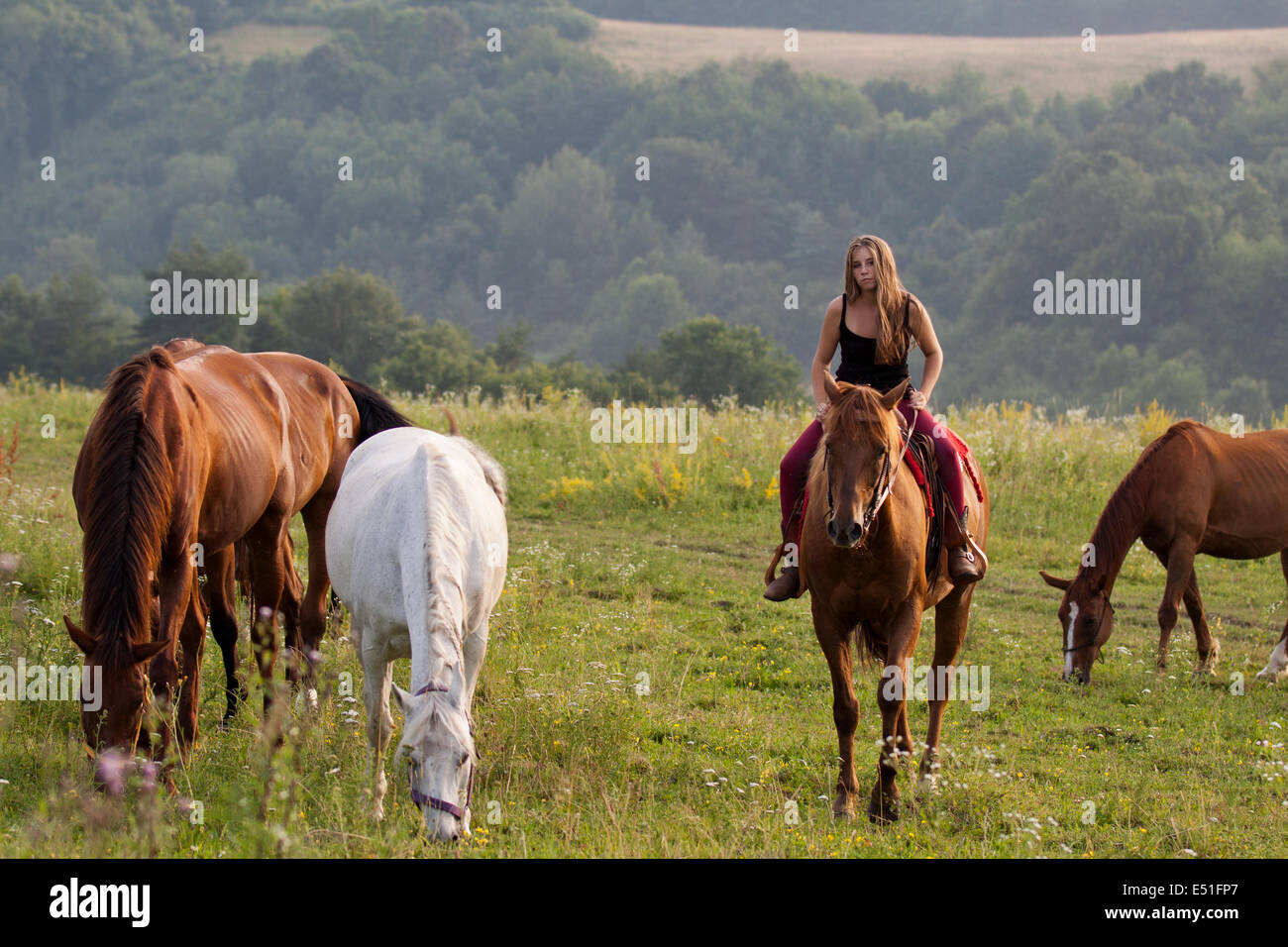 Junges mädchen mit ihrem pferd -Fotos und -Bildmaterial in hoher ...