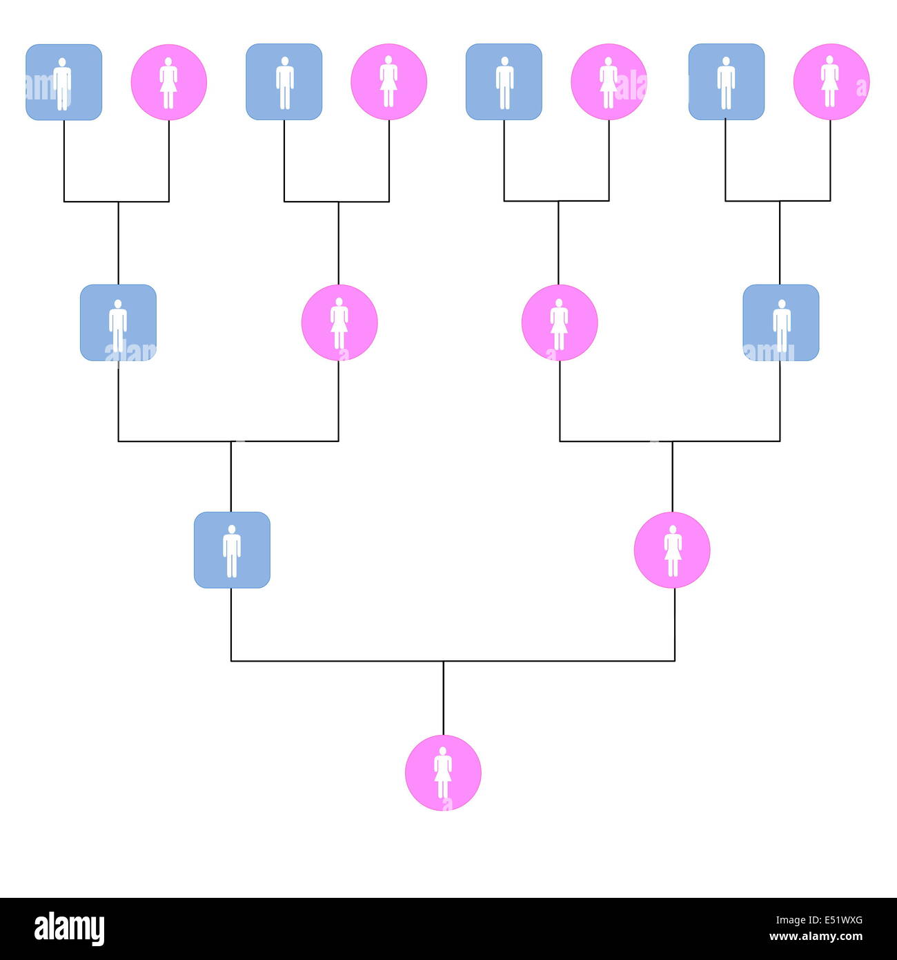 Family tree diagram Ausgeschnittene Stockfotos und -bilder - Alamy