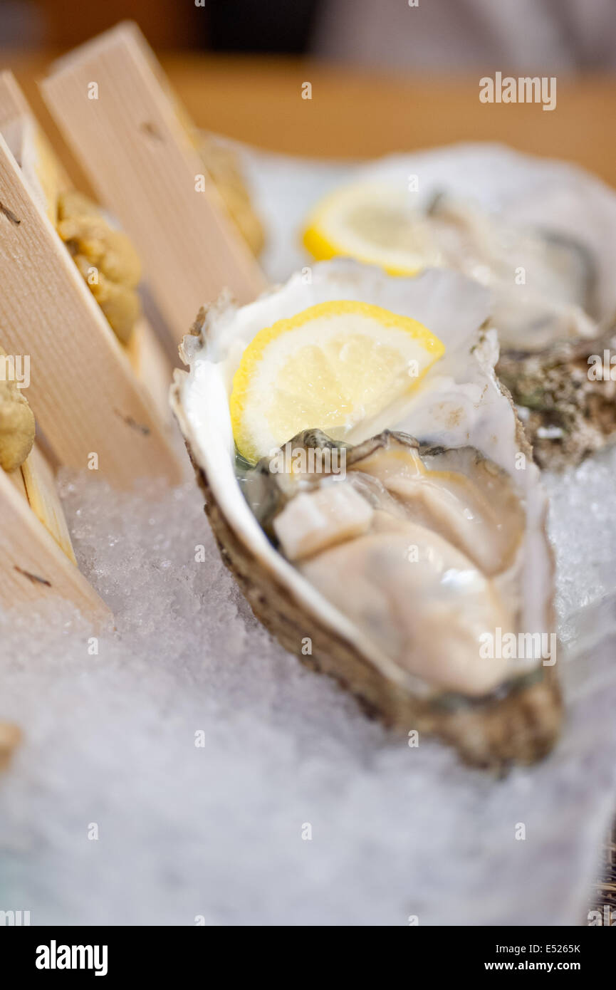 Japanischer seeigel -Fotos und -Bildmaterial in hoher Auflösung – Alamy