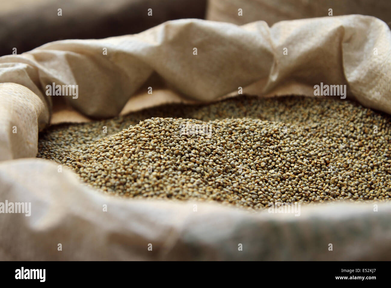 Voller sack -Fotos und -Bildmaterial in hoher Auflösung – Alamy