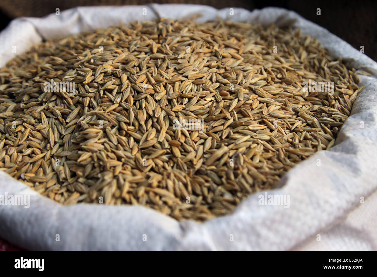 Voller sack -Fotos und -Bildmaterial in hoher Auflösung – Alamy