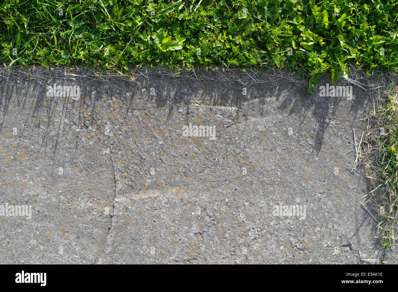 Beton mit gras -Fotos und -Bildmaterial in hoher Auflösung – Alamy