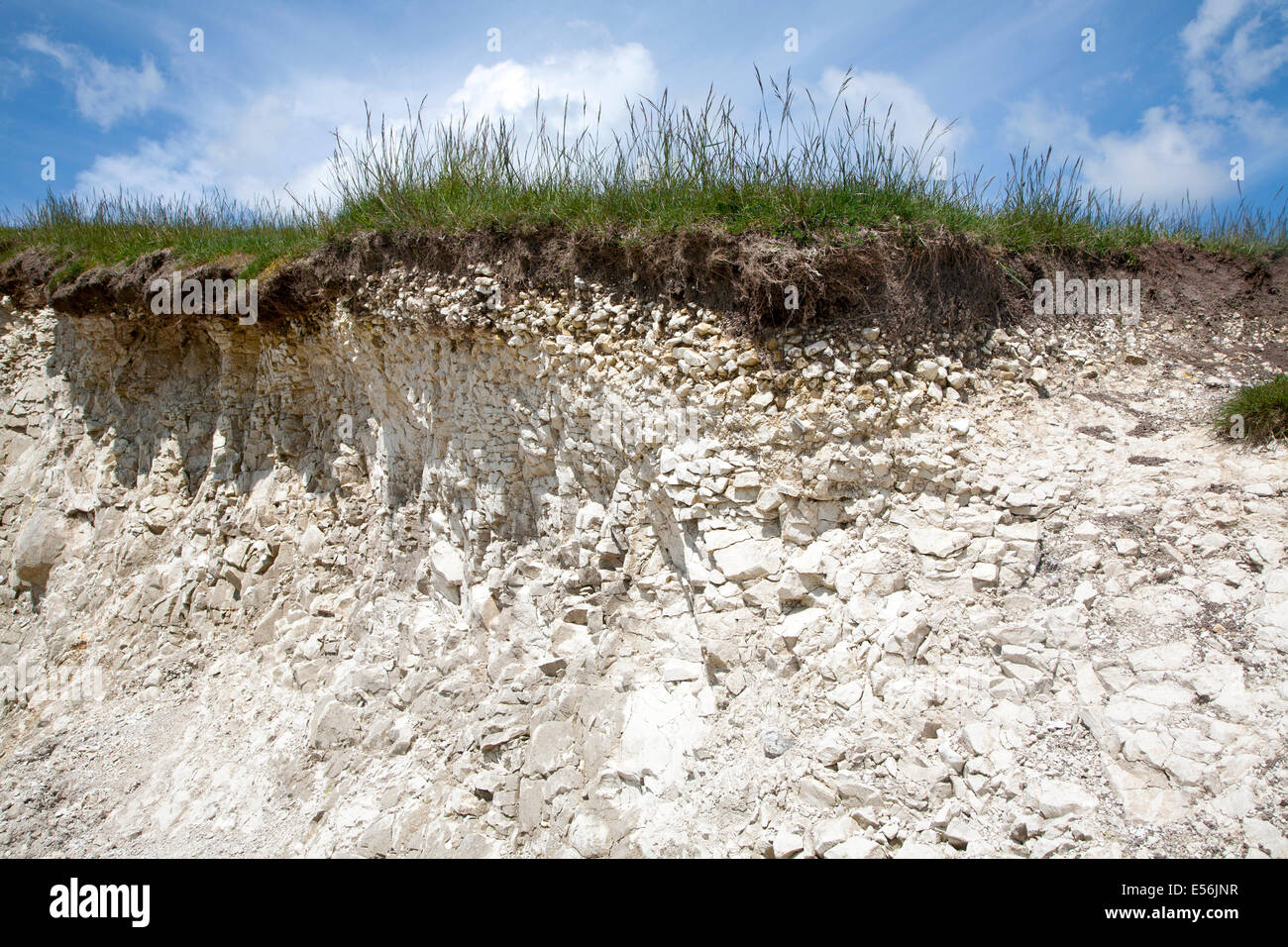 Nahaufnahme Bodenprofil Kreuz Abschnitt zeigt dünne Humusschicht ...