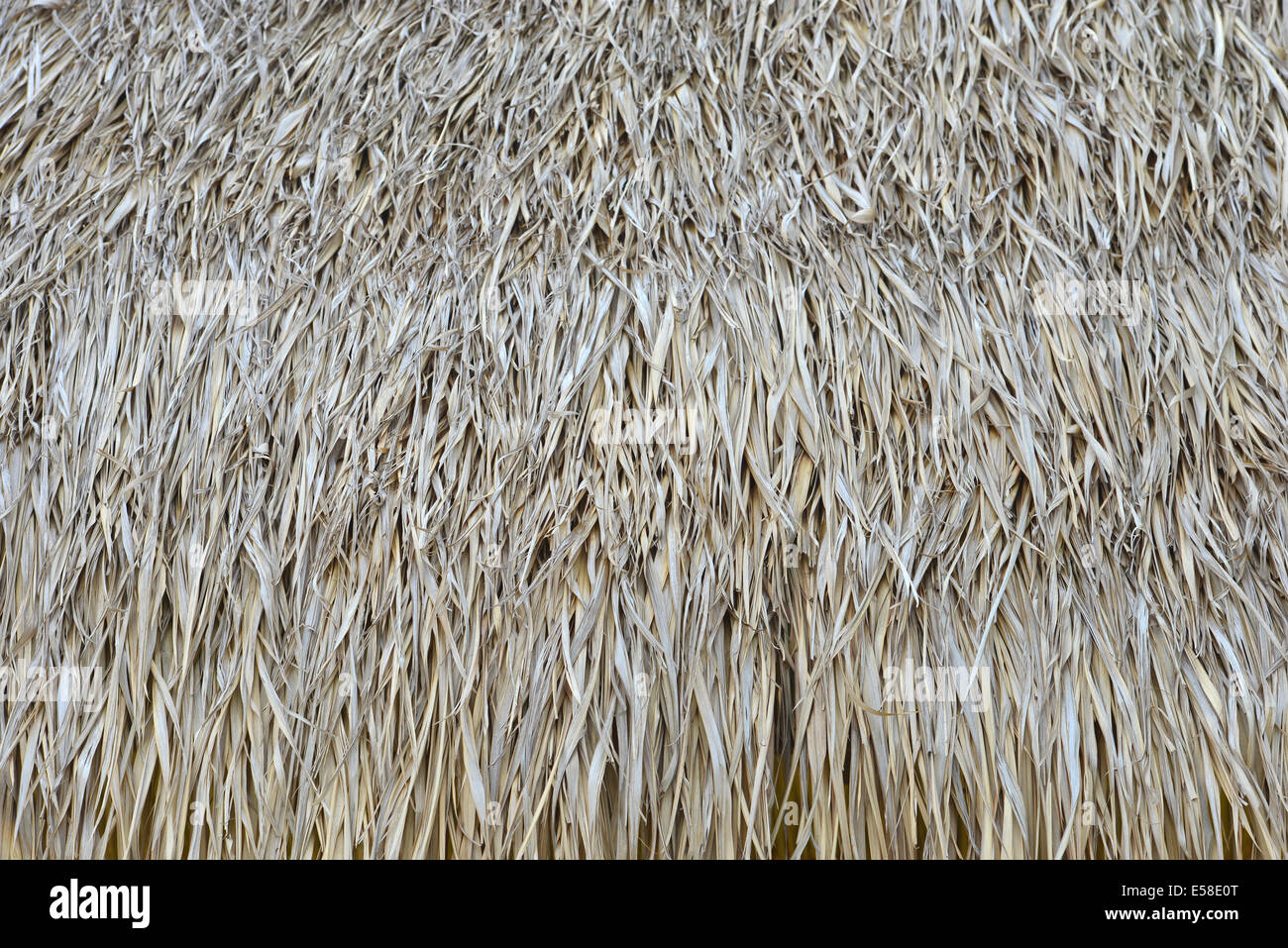 Strohdach hintergrund -Fotos und -Bildmaterial in hoher Auflösung – Alamy