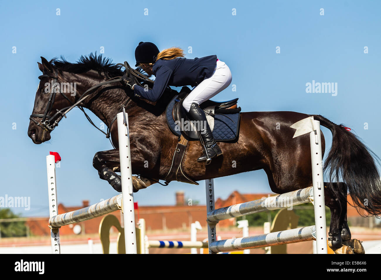 Pferd Reiter springen Tor Polen Mitte Flug-Foto-Aktion-Springreiter ...