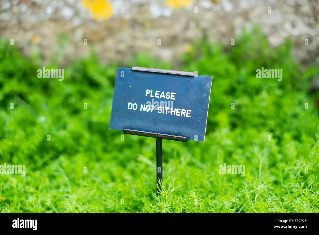 Bitte nicht hier sitzen, Zeichen Stockfotografie - Alamy